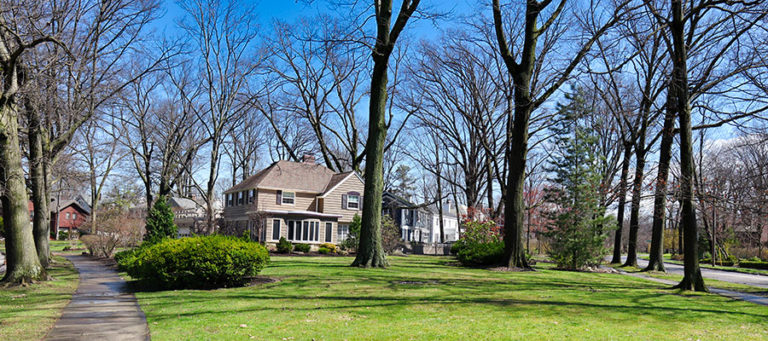 Picking a Native Cleveland Tree for Spring Planting